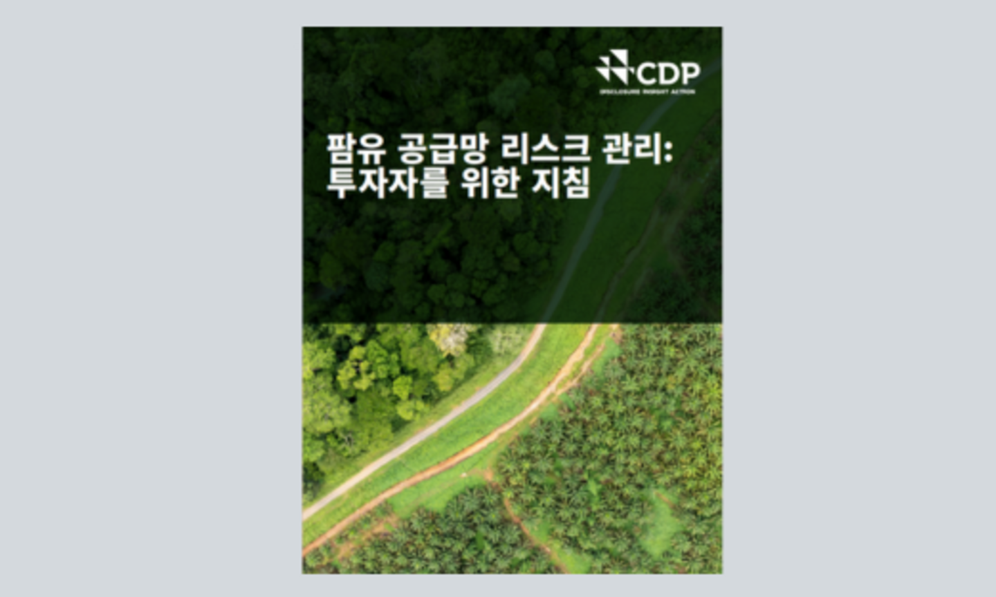 CDP 2023 disclosure data factsheet - CDP